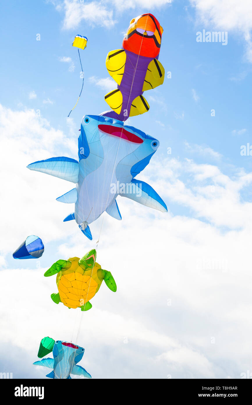 Flying kite with the shape of sea animals, manta, turtle and fish Stock ...