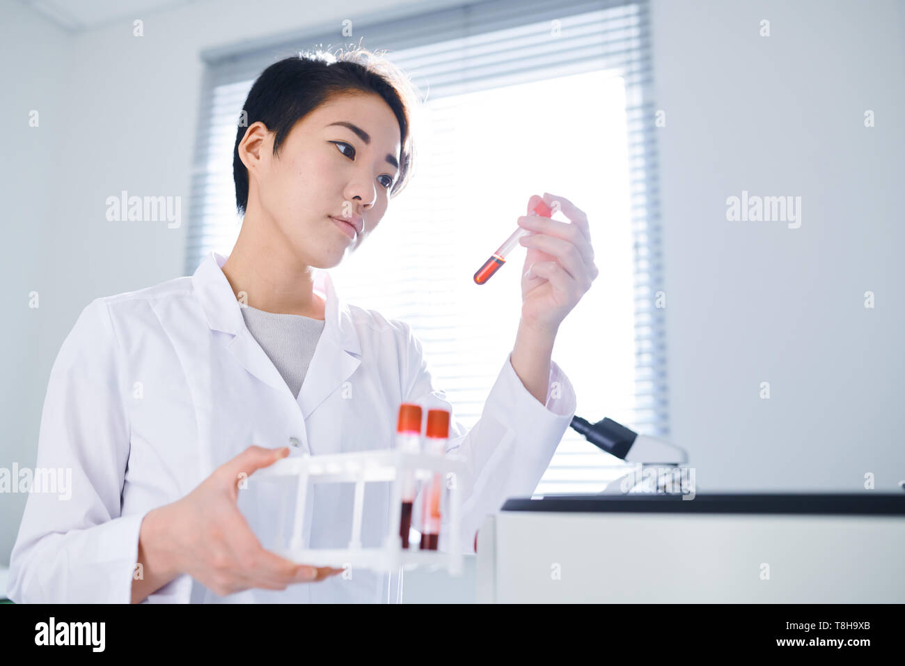 Medical researcher testing sample in laboratory Stock Photo - Alamy