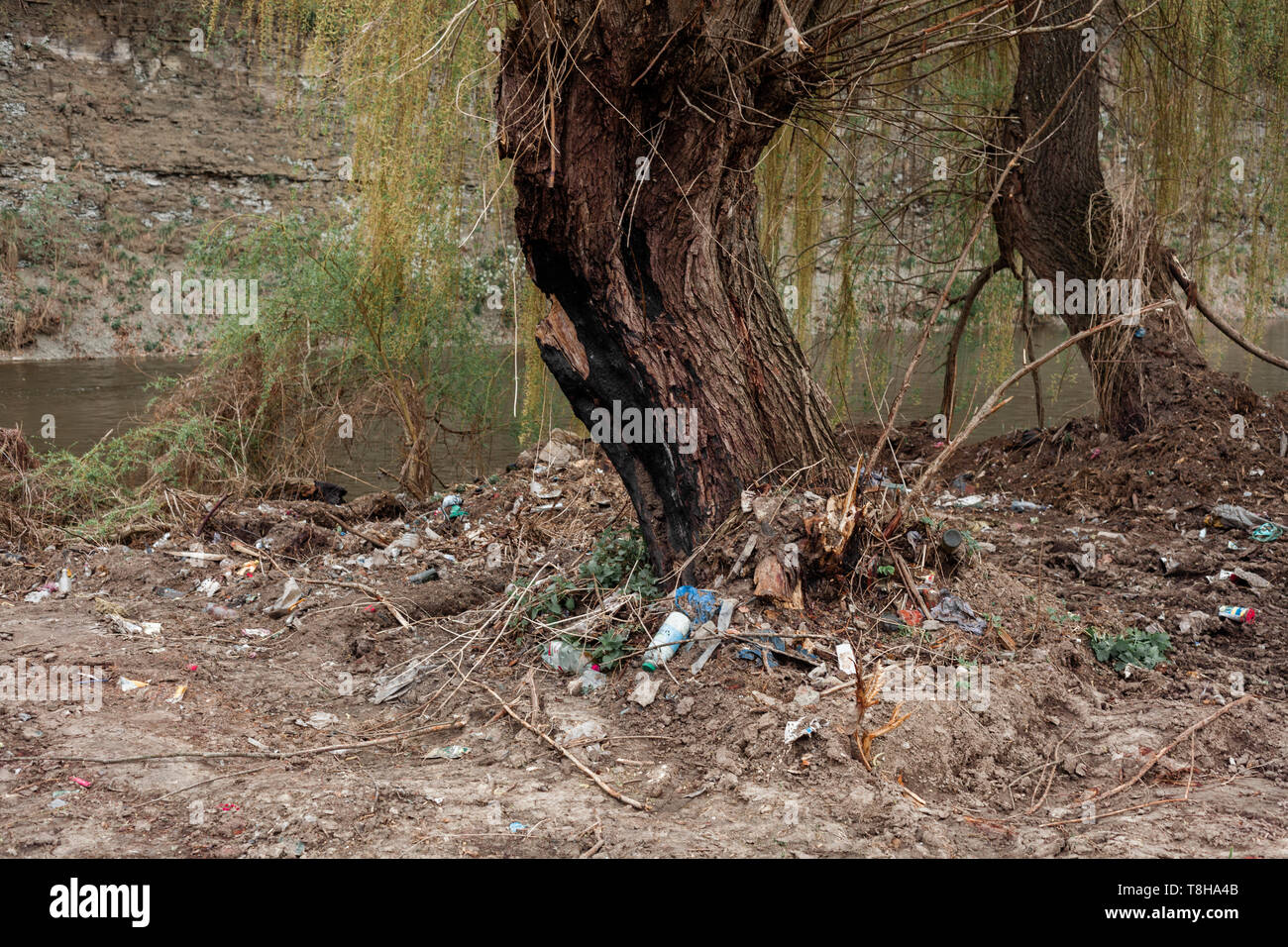 Plastic garbage fields on the bank of river in Ukraine. Ecological ...