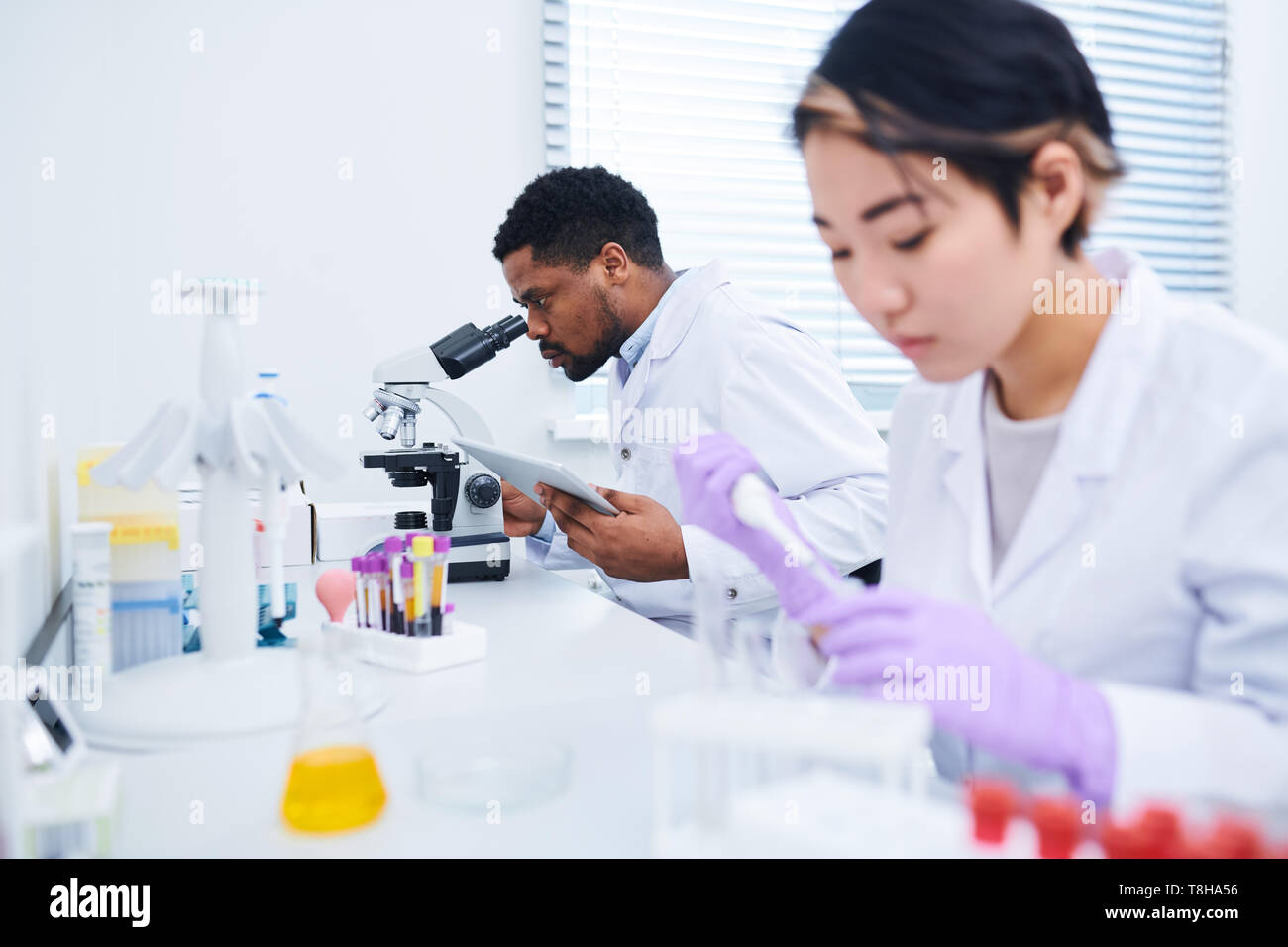 Medical diagnostic specialists analyzing substances Stock Photo - Alamy