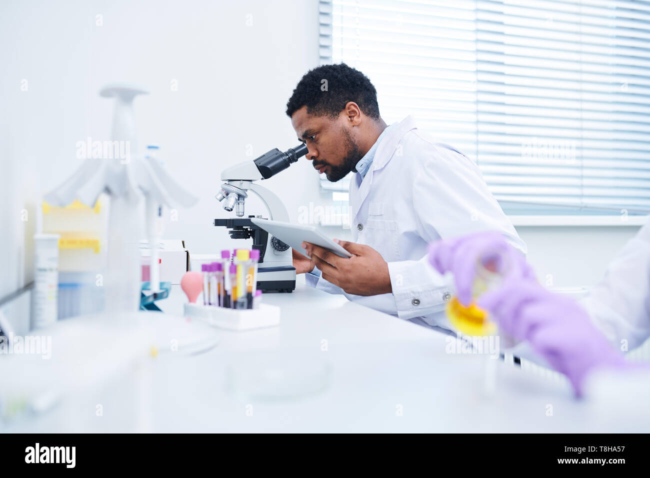 Concentrated lab technician using microscope Stock Photo - Alamy