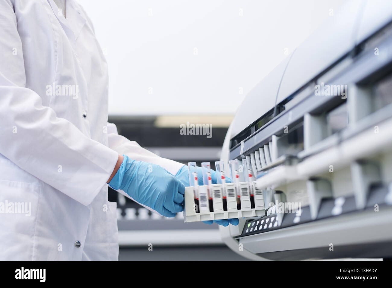 Putting blood samples into tube roller mixer Stock Photo - Alamy