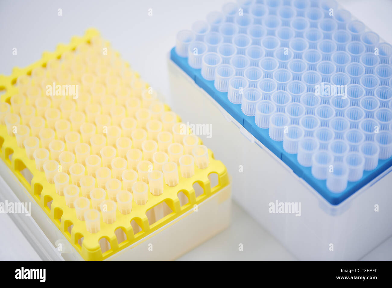 Plastic test tube rack Stock Photo - Alamy