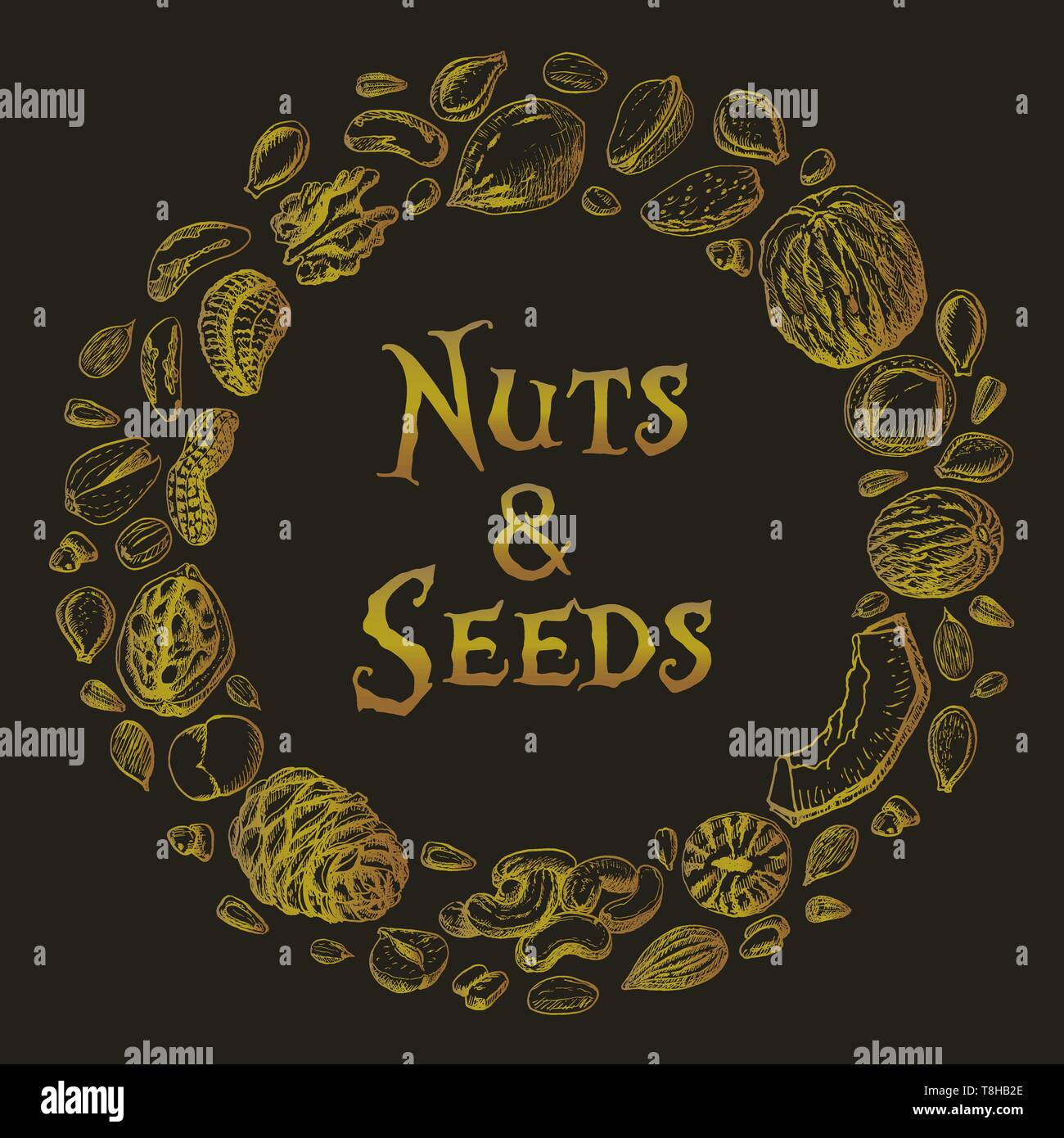 Almonds and brazil nuts Stock Vector Images - Alamy