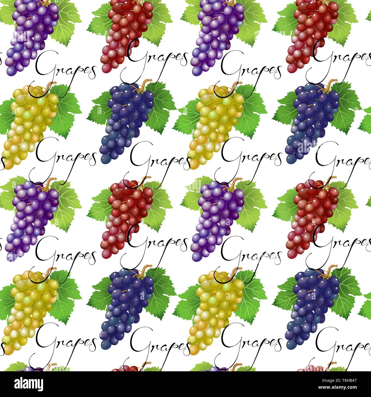 Grapes garden Stock Vector Images - Alamy