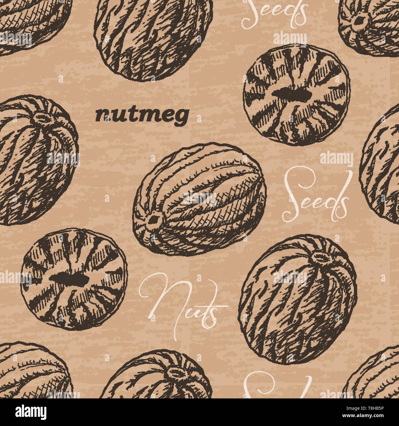 Seamless pattern with nutmeg on a vintage background. Vector ...
