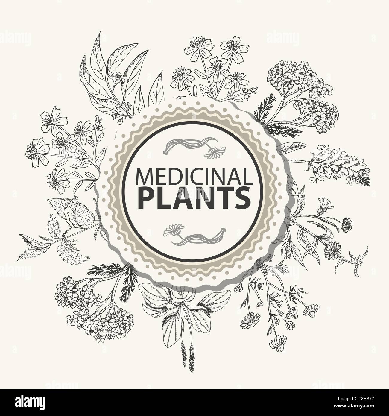 Vector background with herbs in a circle. Vector illustration for your ...