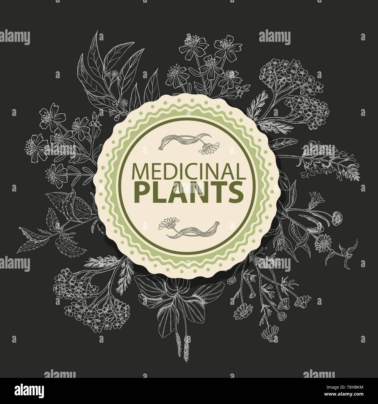 Vector background with herbs in a circle on black background. Vector ...