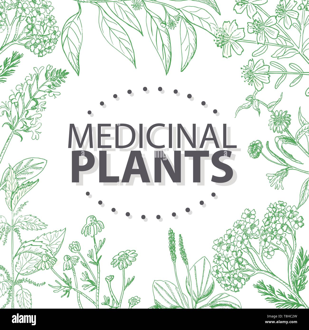 Vector background with medical herbs. Vector illustration for your ...