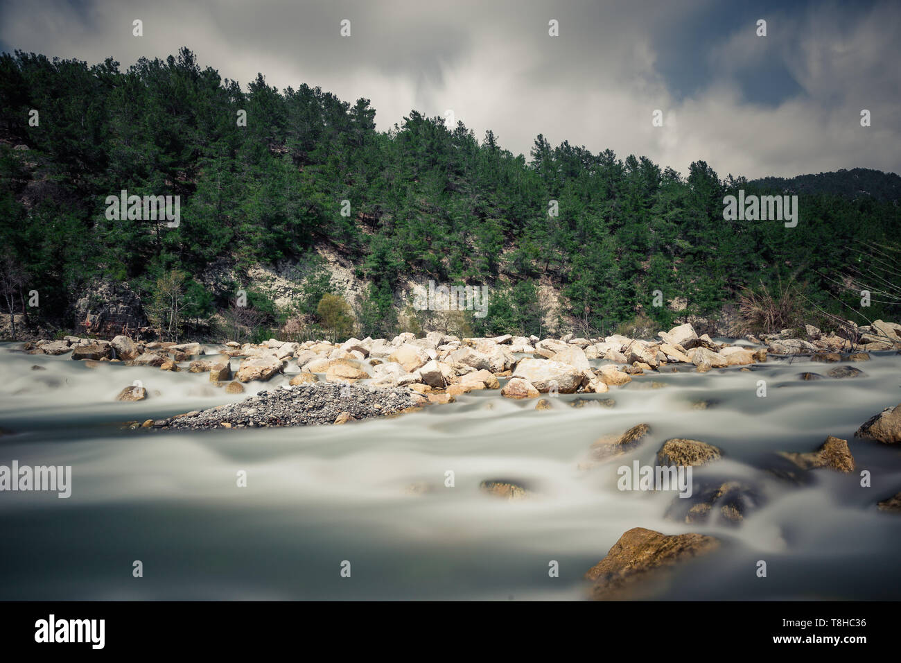 Fast Mountain River in spring Stock Photo - Alamy