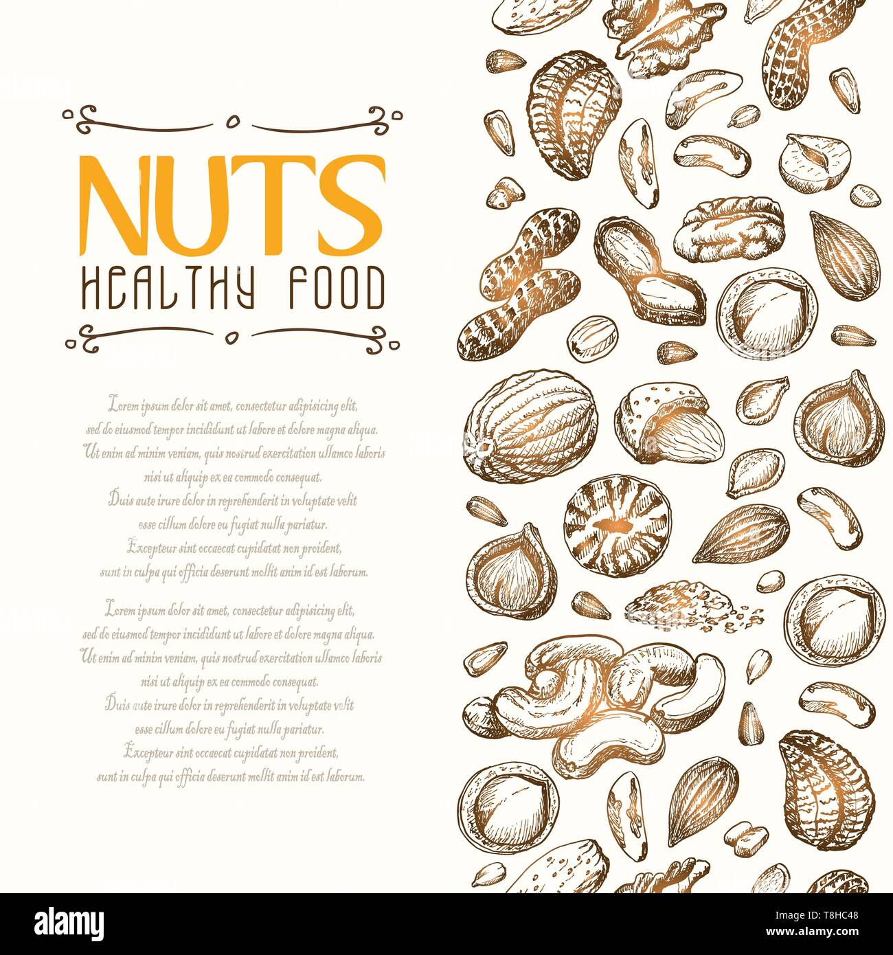 Vector background with nuts arranged vertically. Vector illustration ...