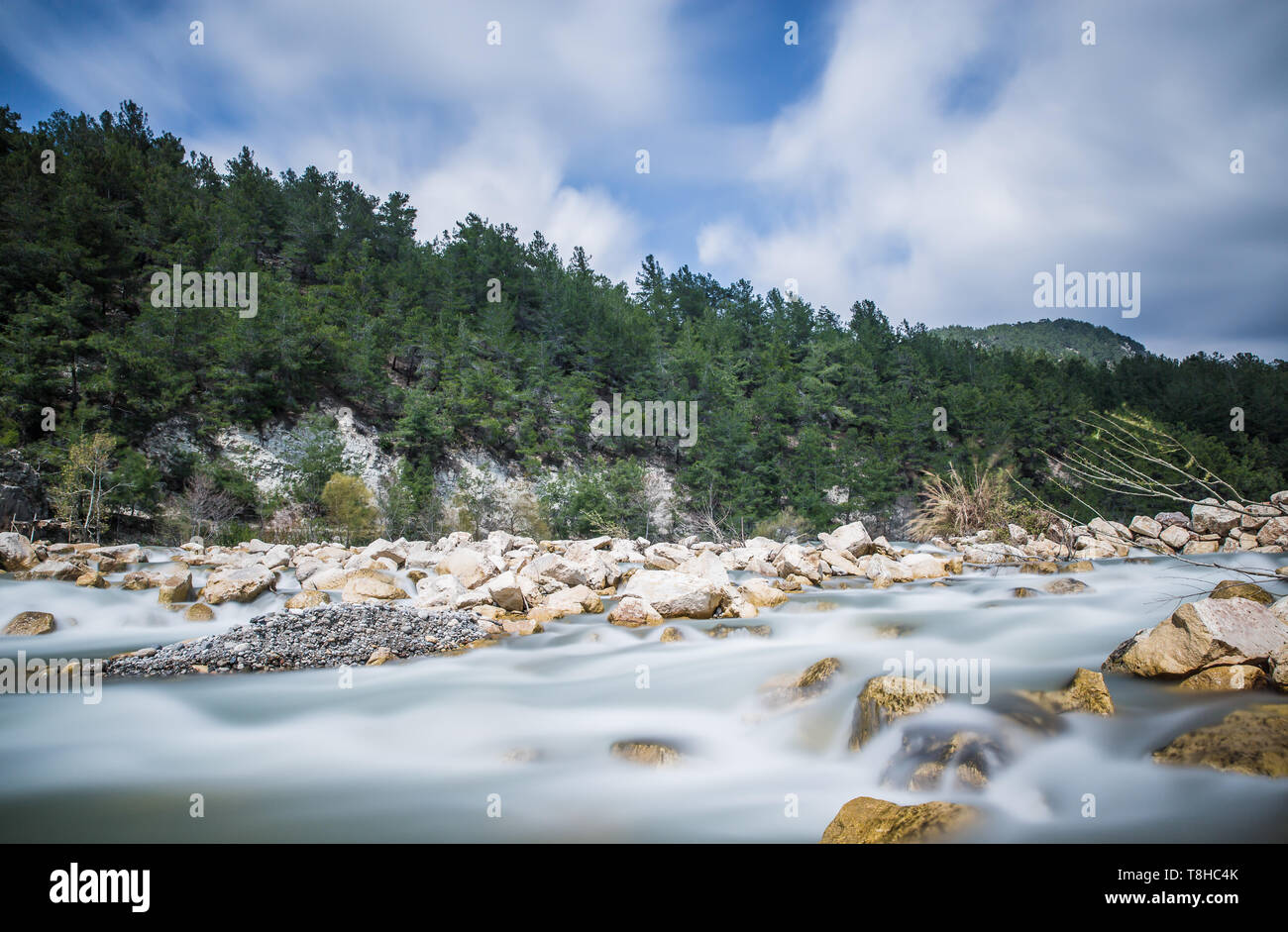 Fast Mountain River in spring Stock Photo - Alamy