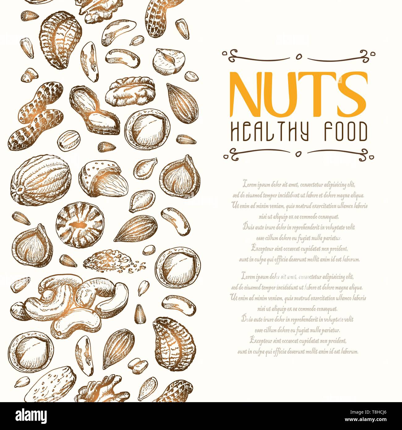 Vector background with nuts arranged vertically. Vector illustration ...
