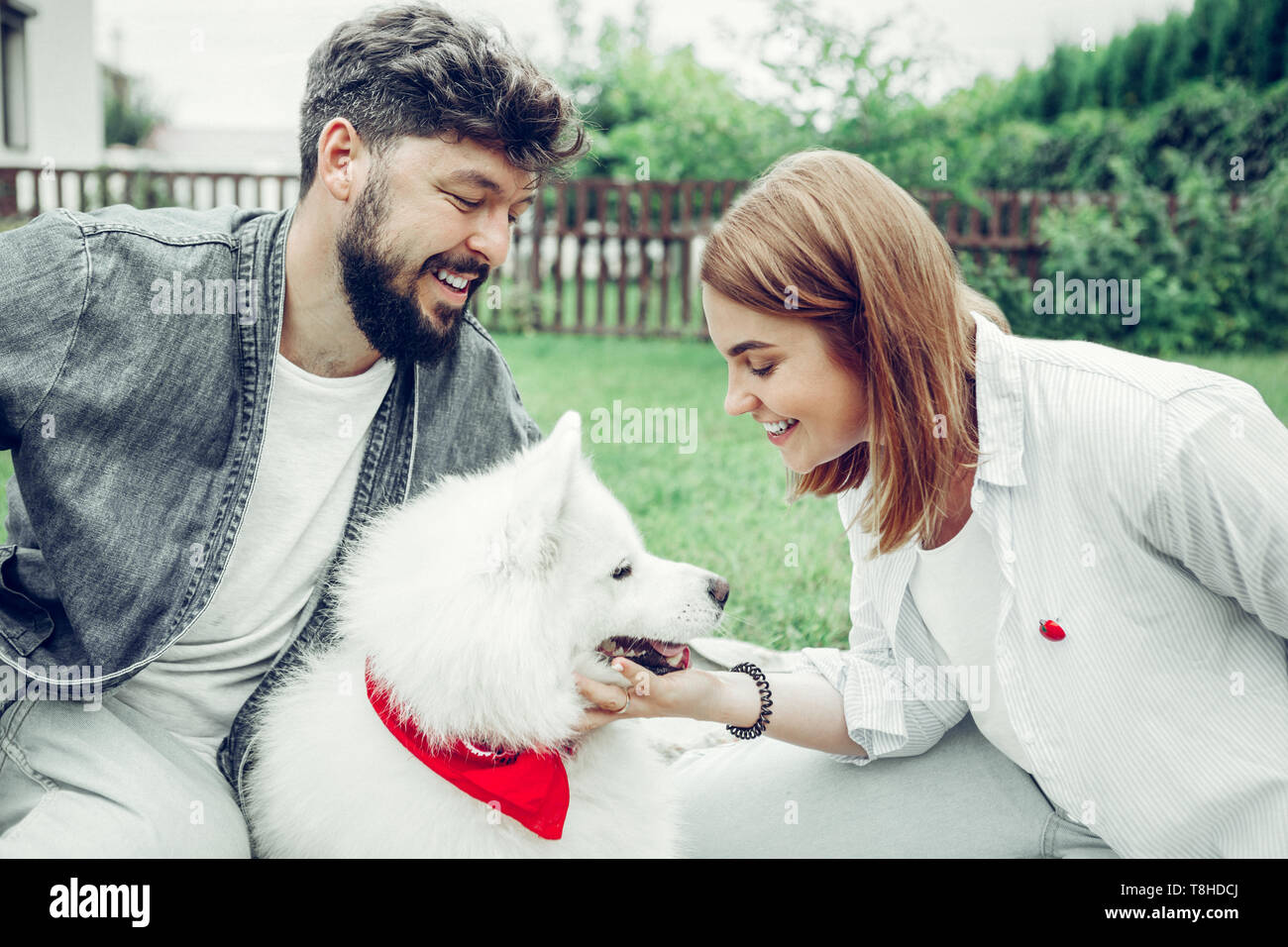 Face portrait young-adult lady tenderly petting a big white dog Stock ...