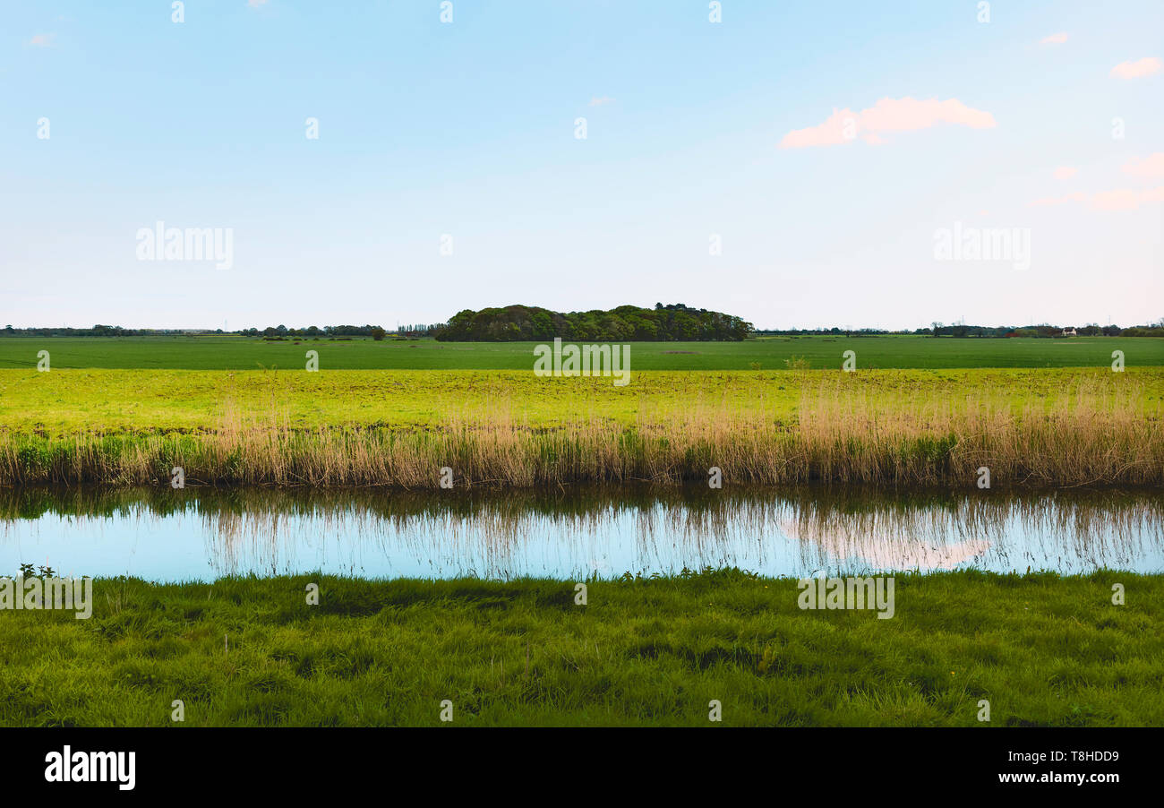 View across the river Hull with tall reeds and farmland in the distance ...