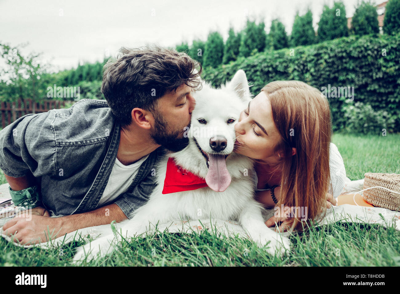 Face portrait of beautiful couple lovingly kissing a fluffy dog Stock ...