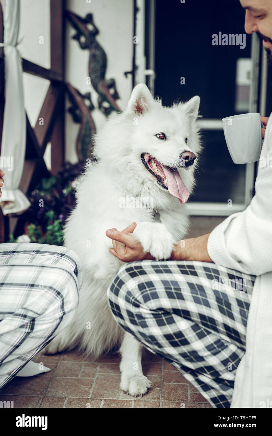 Beautiful shot man dog hi-res stock photography and images - Alamy