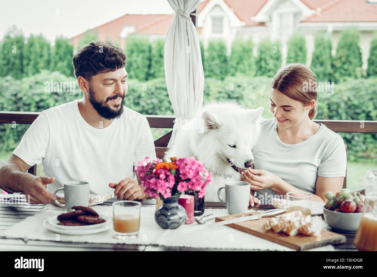 Delightful elegant wife sharing a laugh with good-appealing husband ...