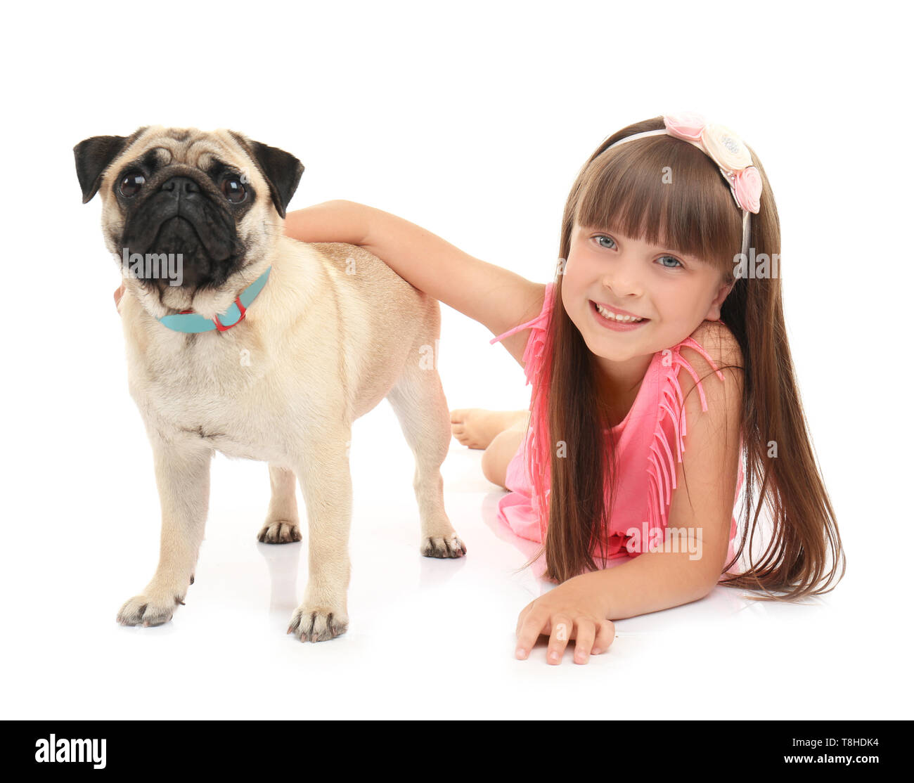 Cute little girl with pug dog on white background Stock Photo - Alamy