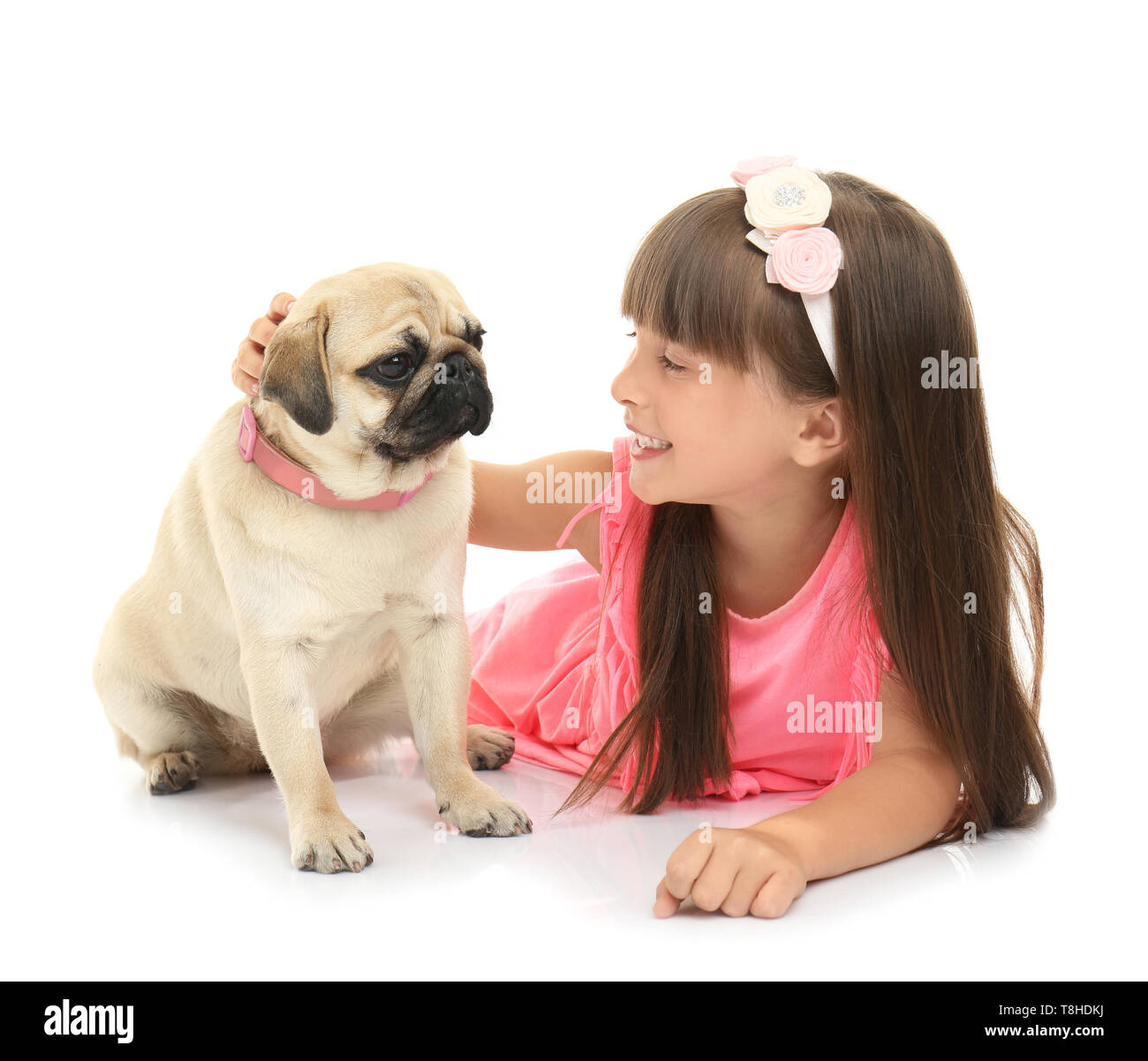 Cute little girl with pug dog on white background Stock Photo - Alamy