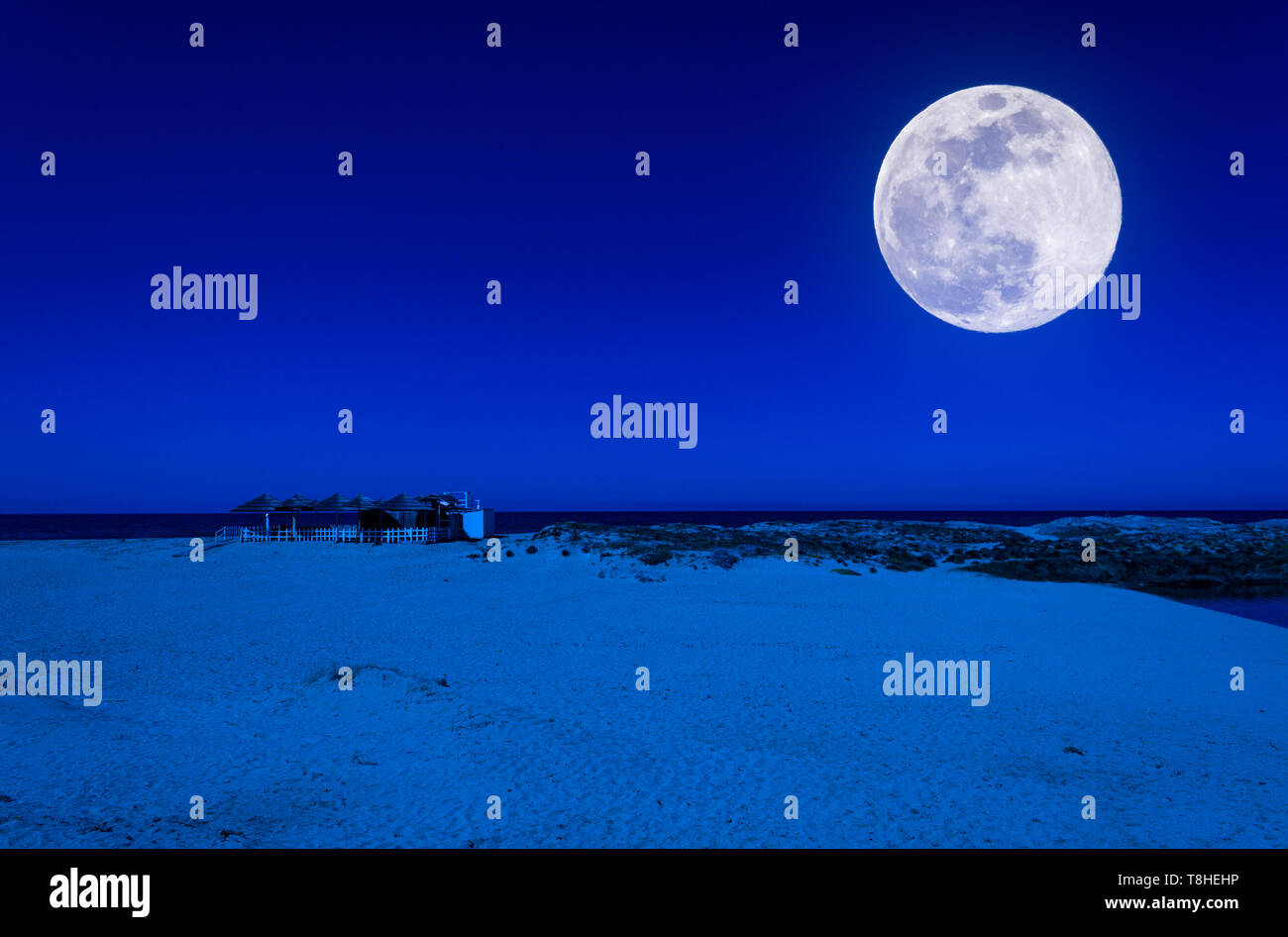 Night landscape of the beach with the super moon Stock Photo - Alamy