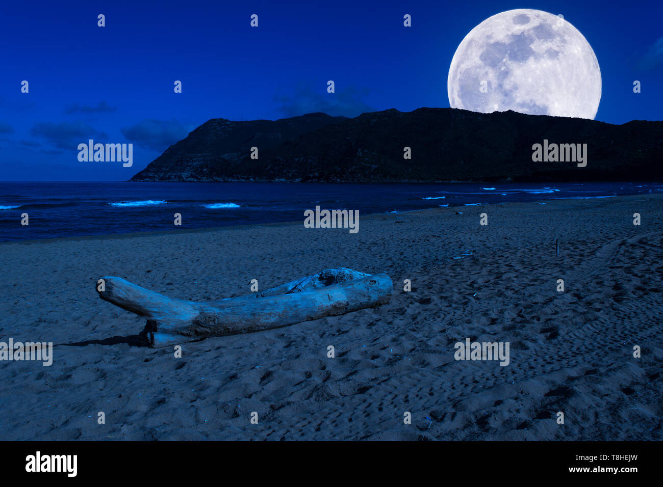 Night landscape of the beach with the super moon Stock Photo - Alamy
