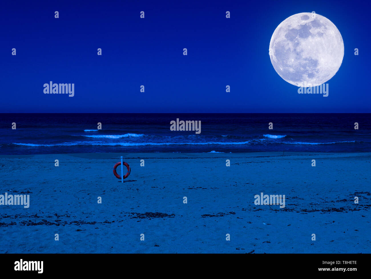 Romantic night beach scene with a full moon hi-res stock photography ...