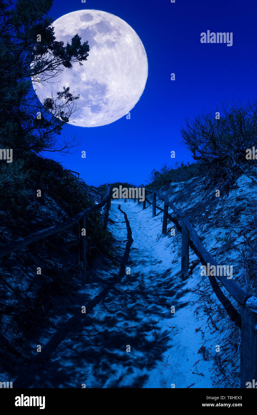 path through the beach at night under the super moon Stock Photo - Alamy