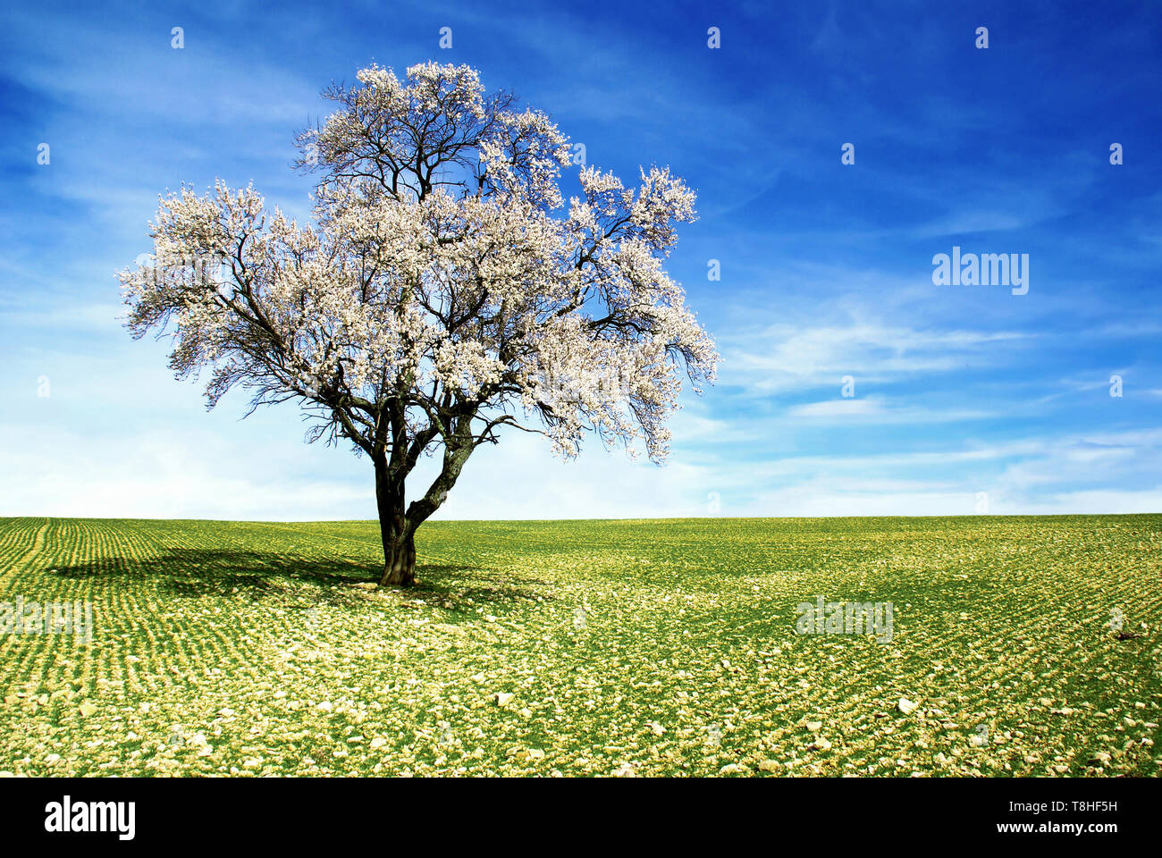 Precocious hi-res stock photography and images - Alamy