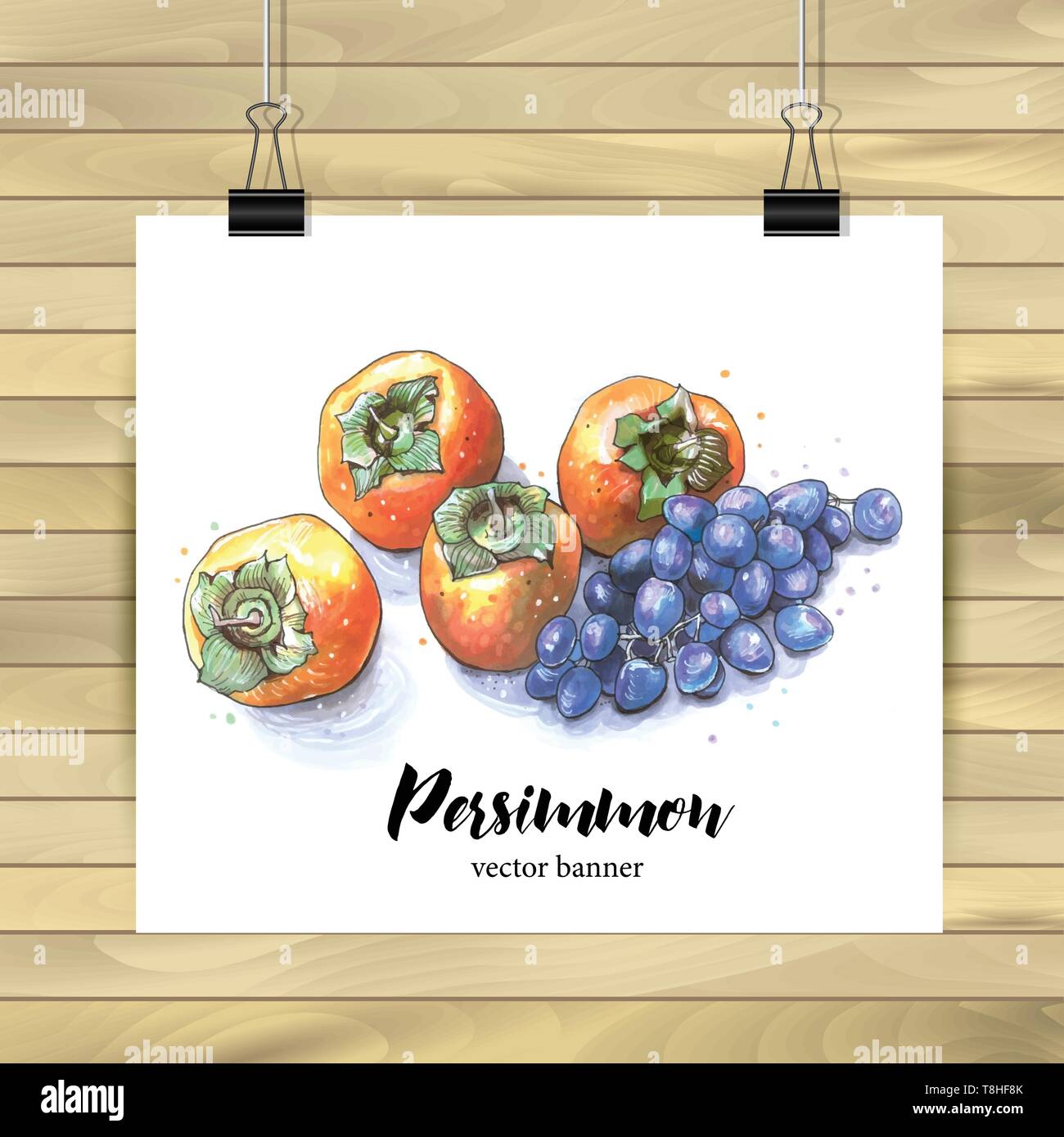 Set of hand drawn fruits. Vector illustrations of persimmon and grapes ...
