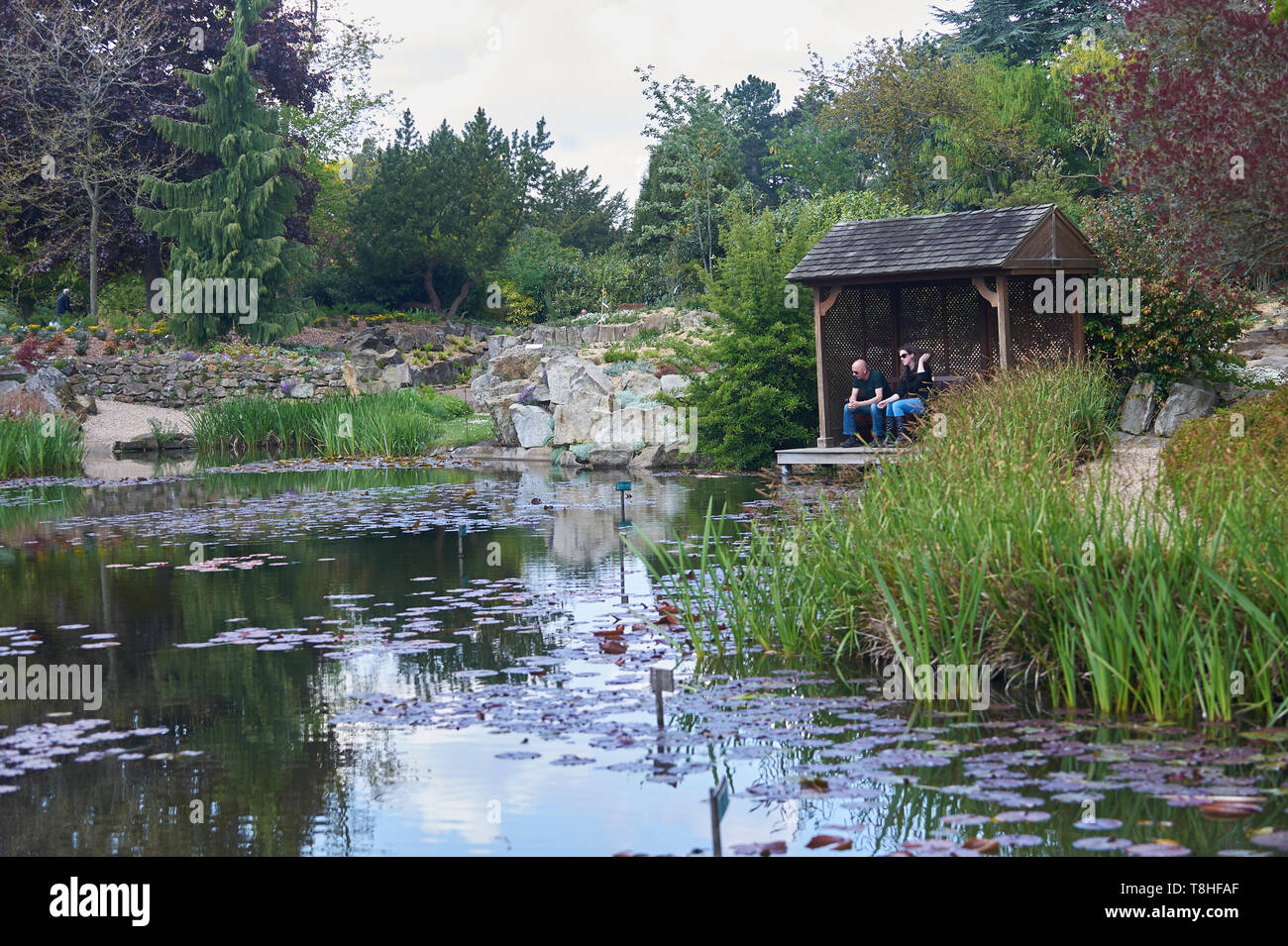 Burnby Hall Gardens, Pocklington, East Yorkshire, England, UK, GB Stock ...