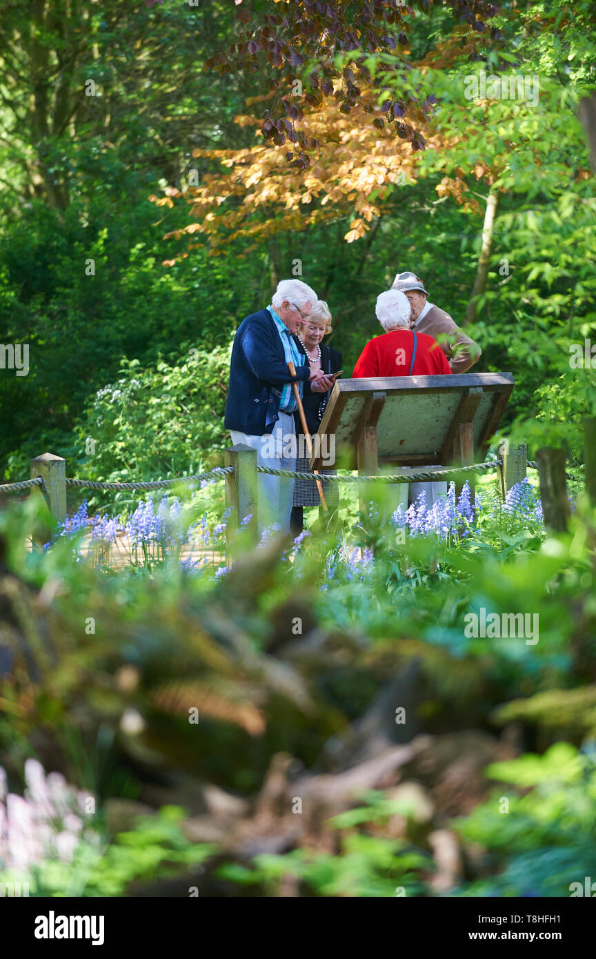 Information board uk woodland hi-res stock photography and images - Alamy