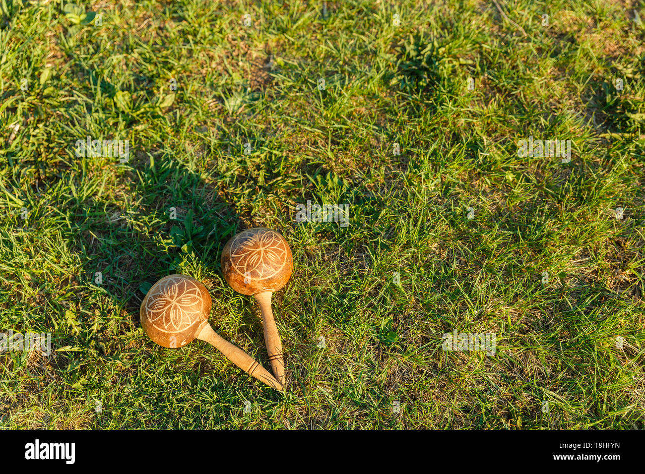 maracas lie on the green grass. Traditional musical instrument made of ...