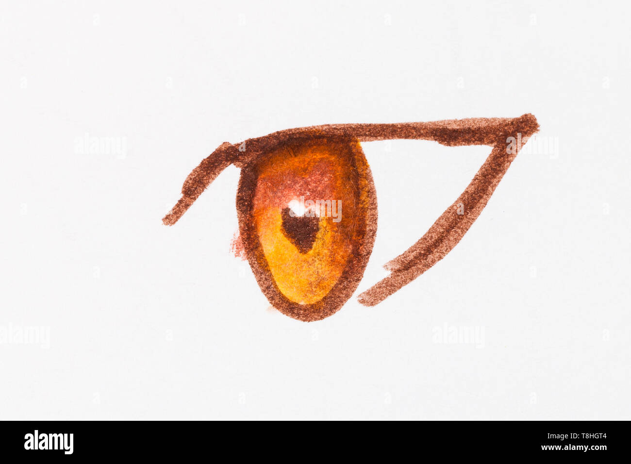 human yellow eye close up hand-drawn by felt pens on white paper Stock ...