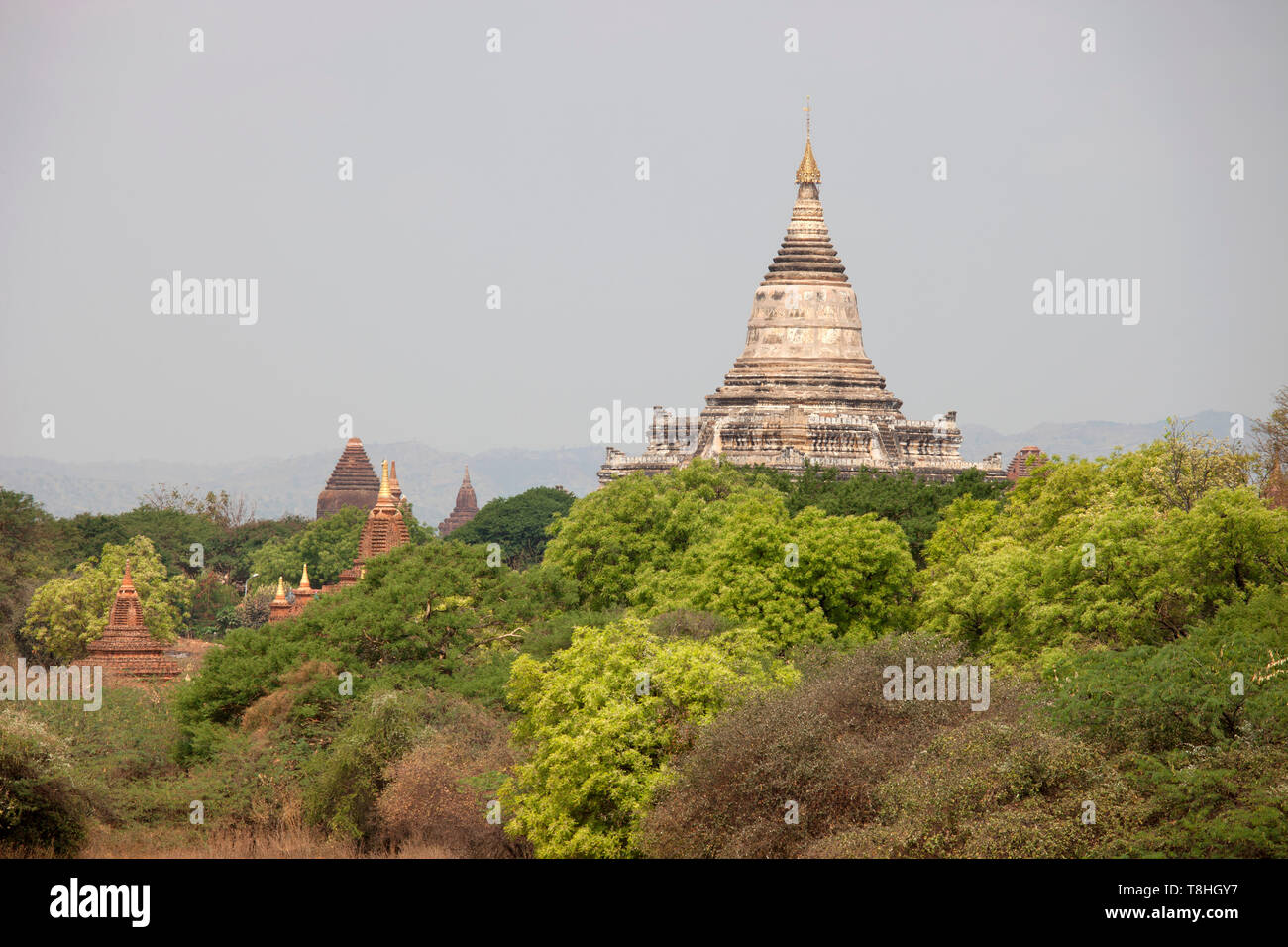 View of temples, Old Bagan village area, Mandalay region, Myanmar, Asia ...