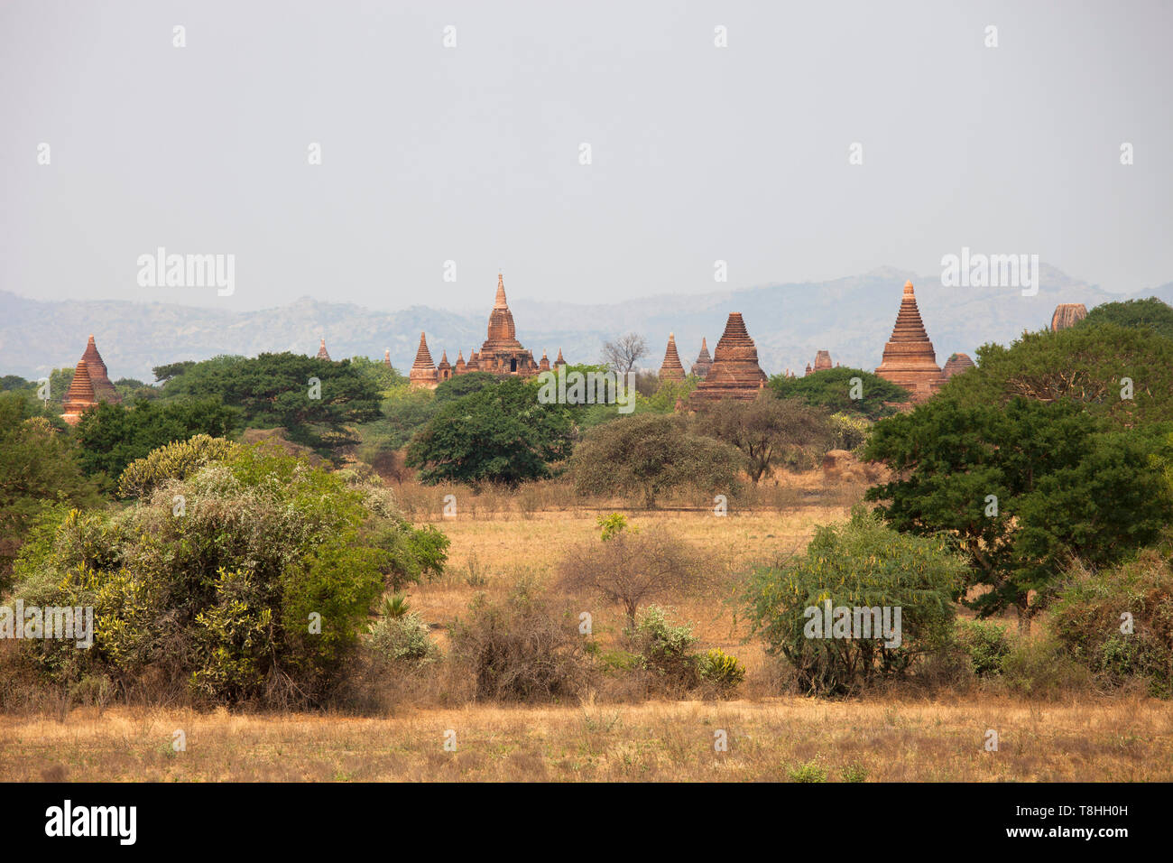 View of temples, Old Bagan village area, Mandalay region, Myanmar, Asia ...