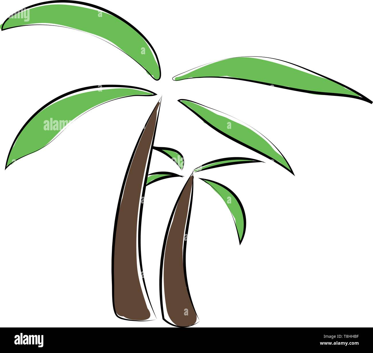 Two palm trees beside each other with green leaves, vector, color ...