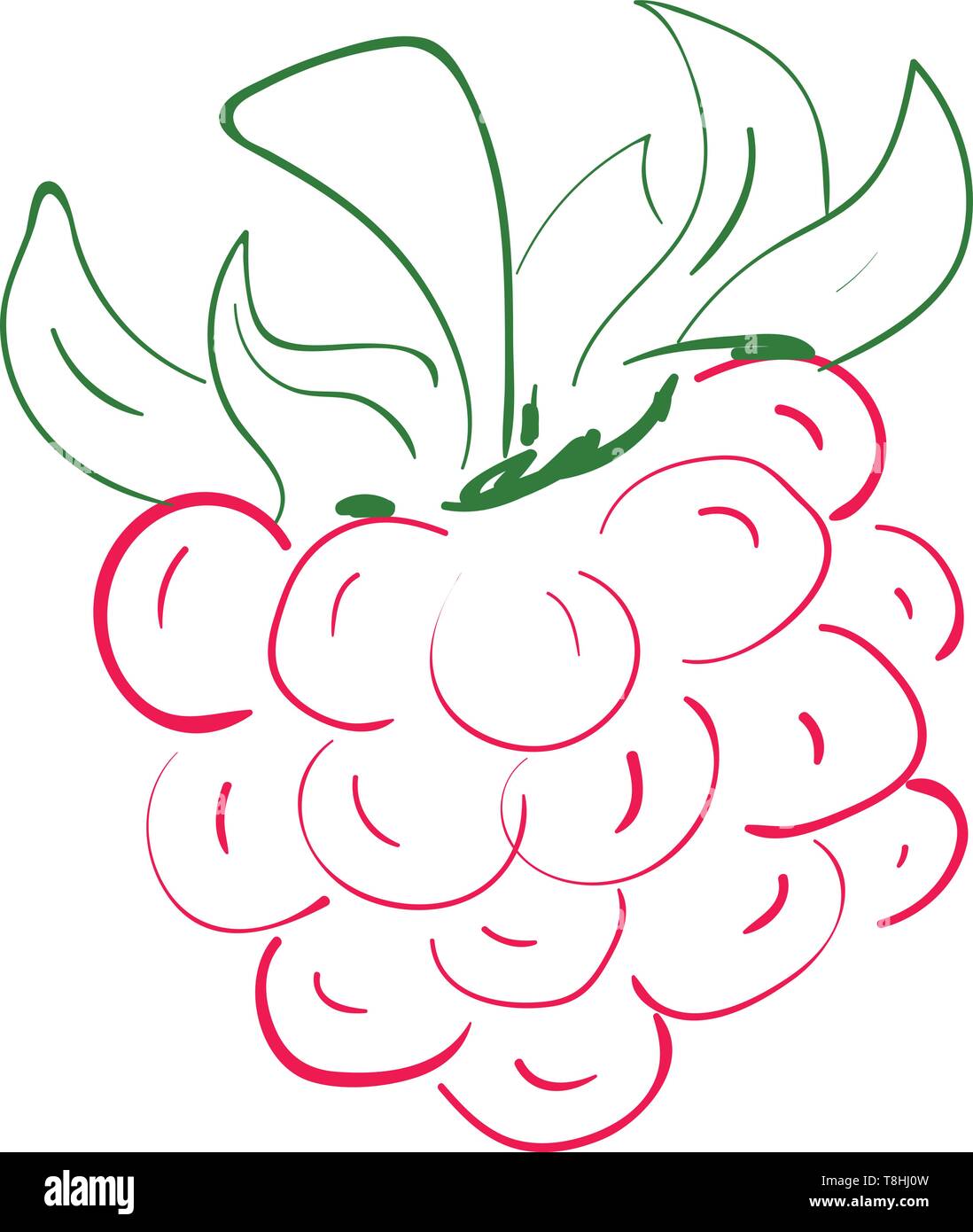 A sketch of a pink raspberry with green leaves, vector, color drawing ...