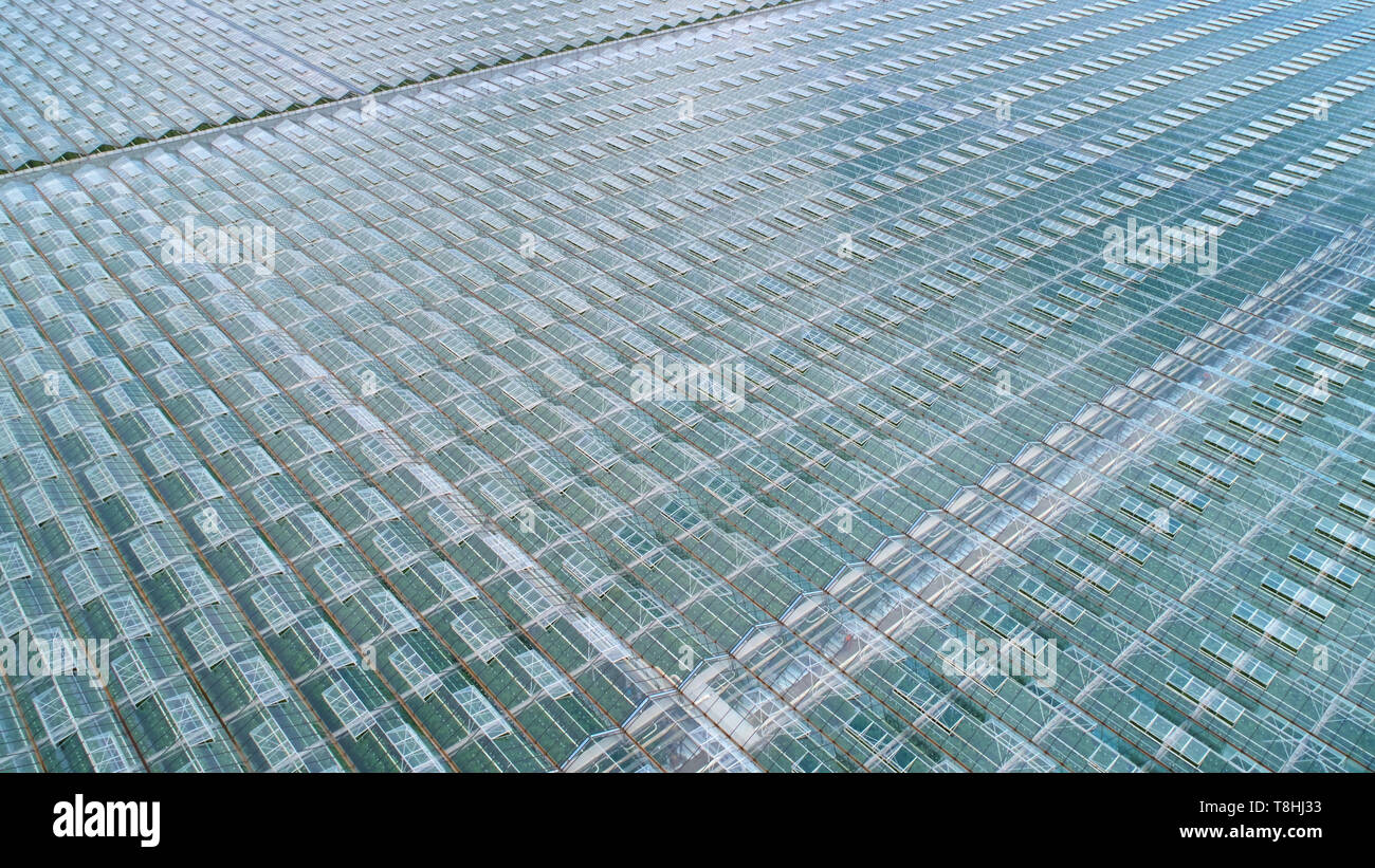 Aerial photo of greenhouses shot from above Stock Photo - Alamy