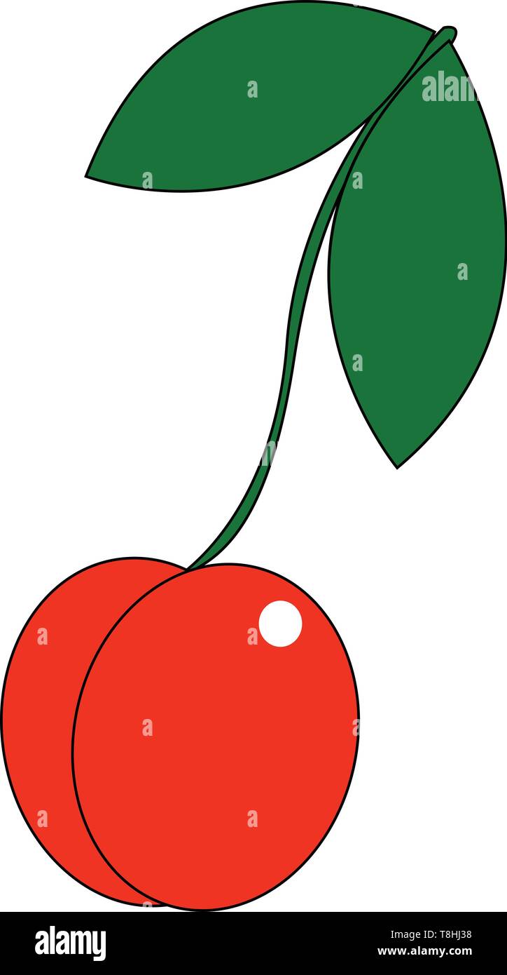 A ripe red cherry with two green leaves, vector, color drawing or ...