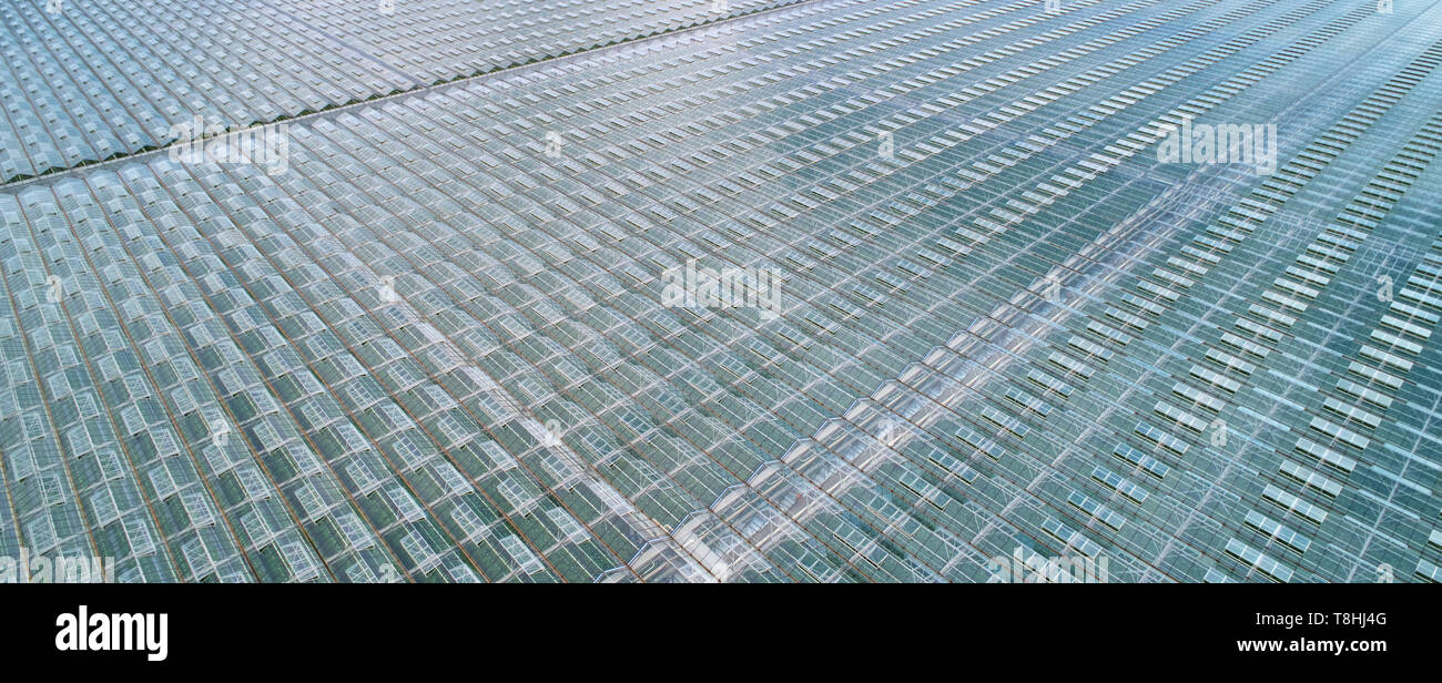 Aerial photo of greenhouses shot from above Stock Photo - Alamy