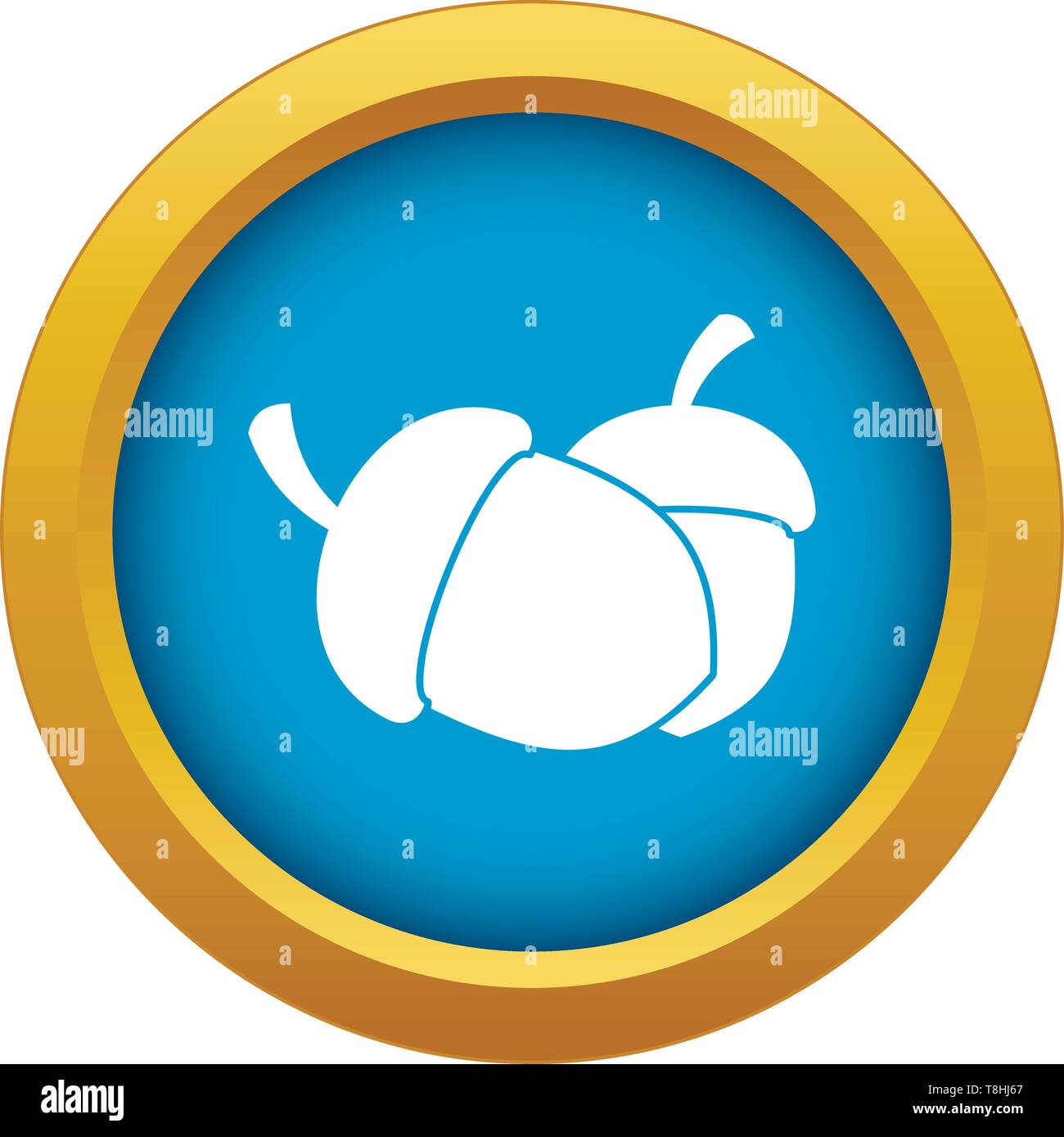 Blue oak acorn Stock Vector Images - Alamy