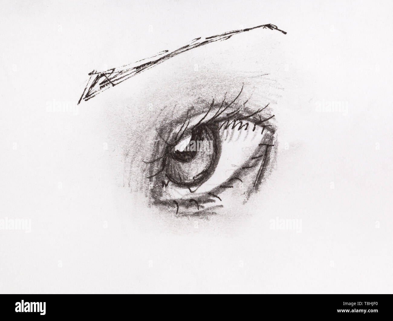 Rolled Up Artwork High Resolution Stock Photography and Images - Alamy