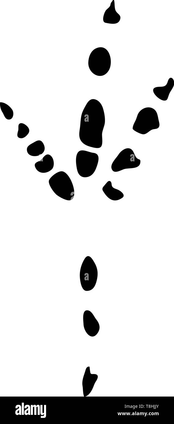 Crow Footprint. Black Silhouette Design. Vector Illustration Stock ...