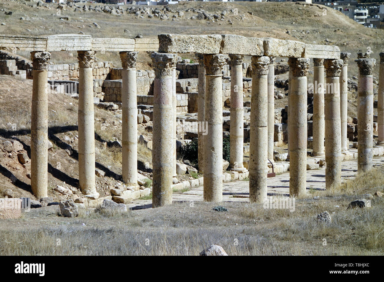 Columns in Jerash, Jordan, Dzseras, Gerasza Stock Photo - Alamy
