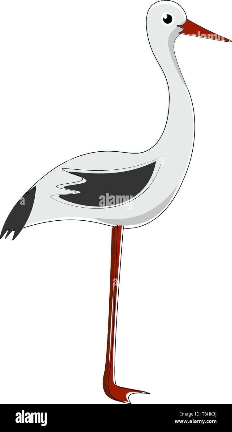 Slender bird stands hi-res stock photography and images - Alamy