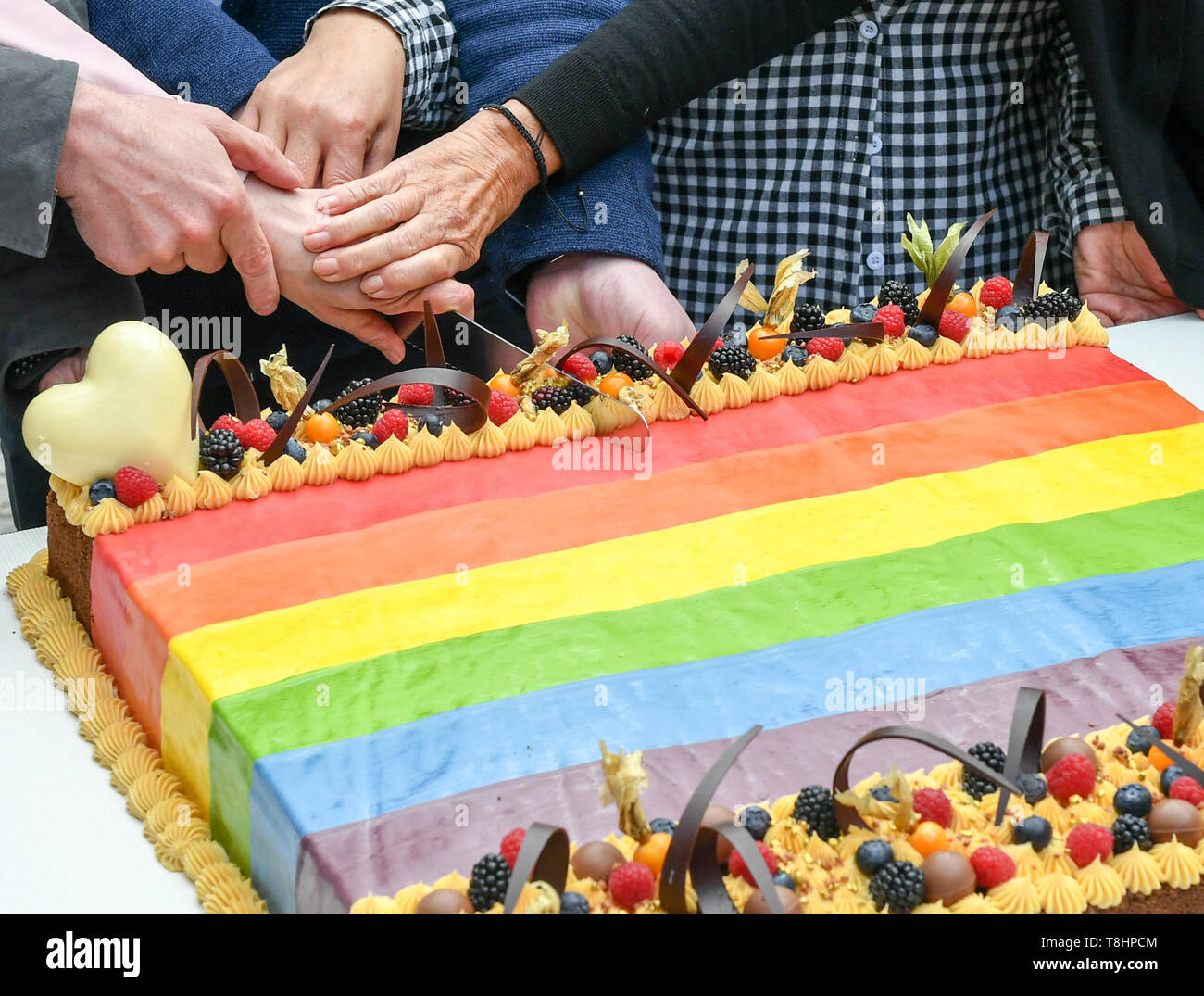 The visible human project hi-res stock photography and images - Alamy