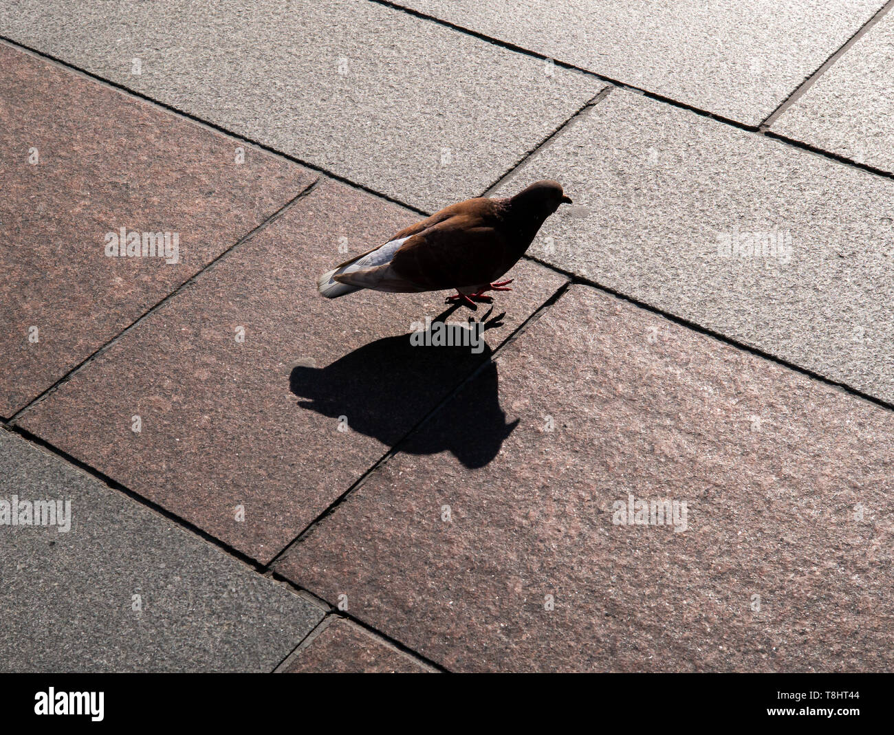 Pavement slabs hi-res stock photography and images - Alamy