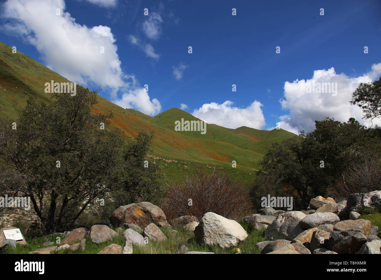 Bakersfield, California, USA. 10th Mar, 2019. The Kern River Canyon is ...