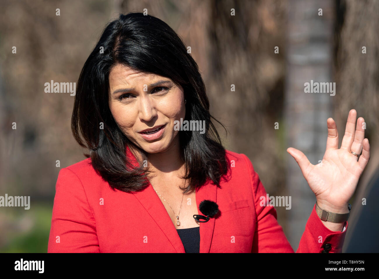 Tulsi Gabbard Vogue